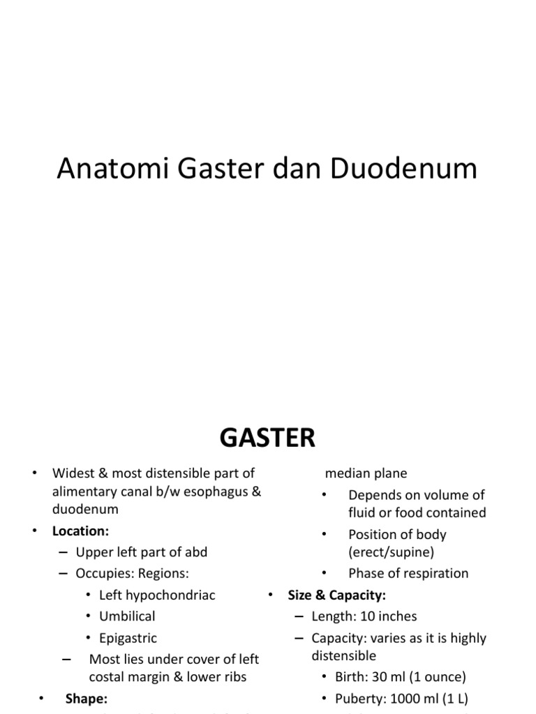 Anatomi Gaster Dan Duodenum | Download Free PDF | Stomach | Indigestion
