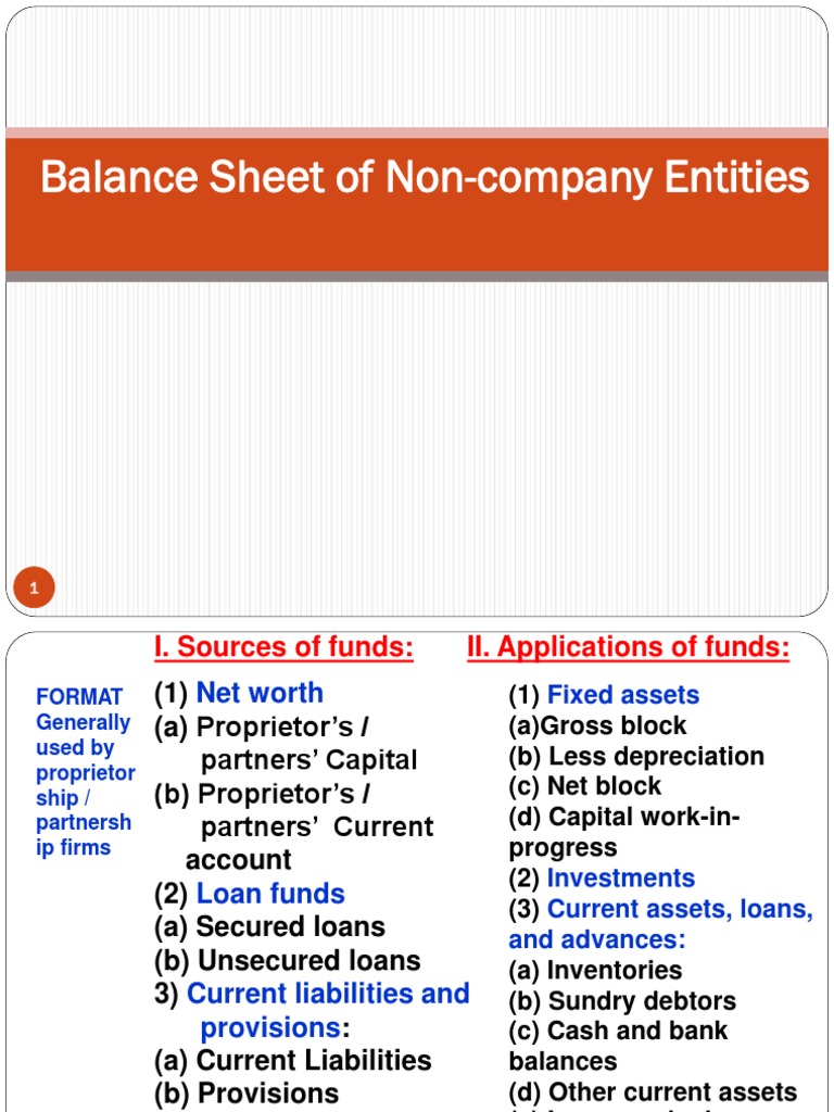 Balance Sheet of Non-Company Entities | PDF | Loans | Current Liability