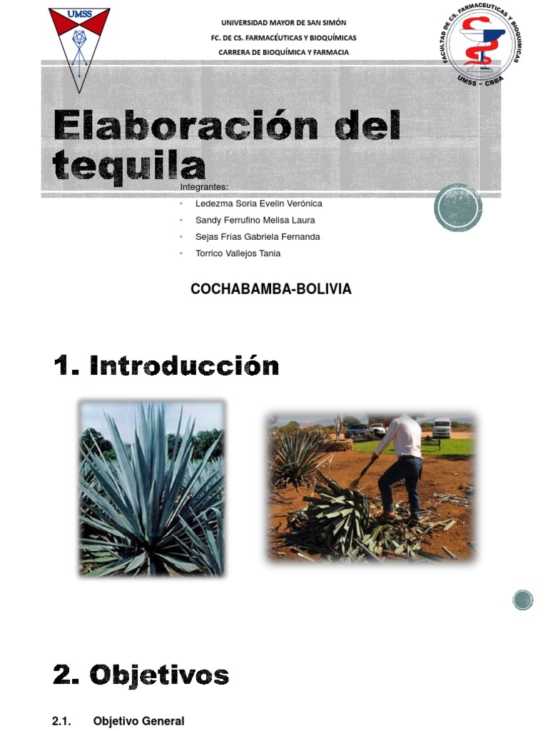 Elaboracion Del Tequila | PDF | Bebida | Bebidas Fermentadas
