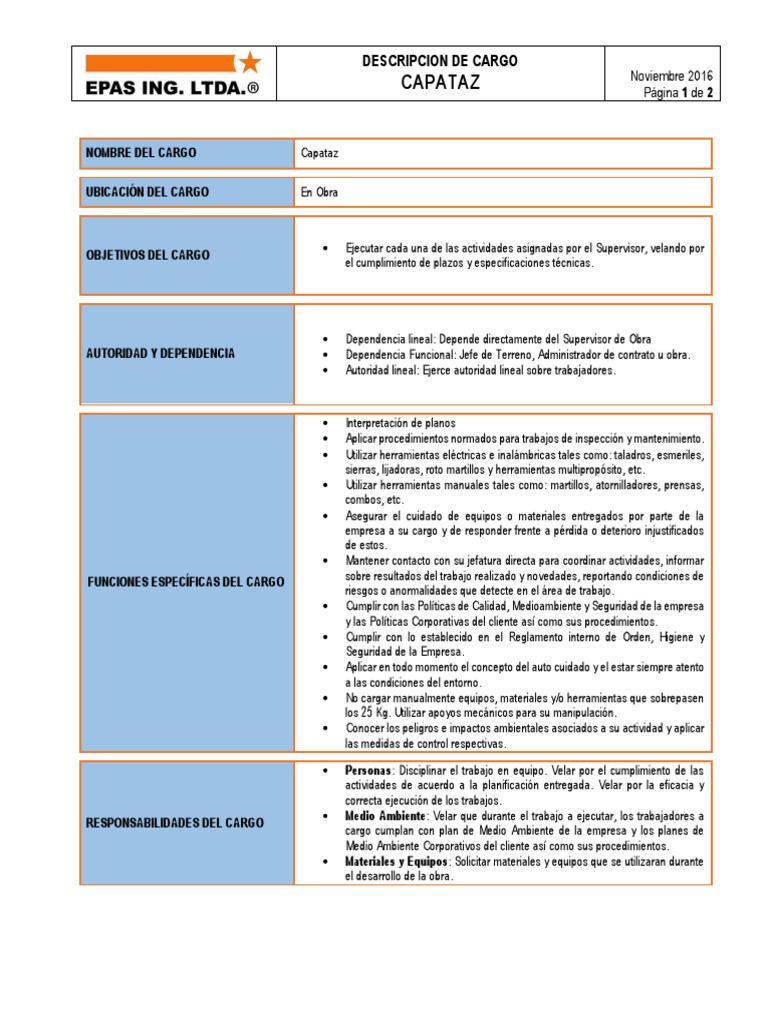 Descriptor de Cargo | PDF | Business