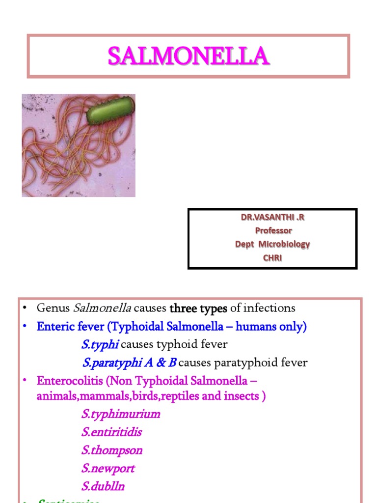 Salmonella: DR - Vasanthi .R Professor Dept Microbiology Chri | PDF ...