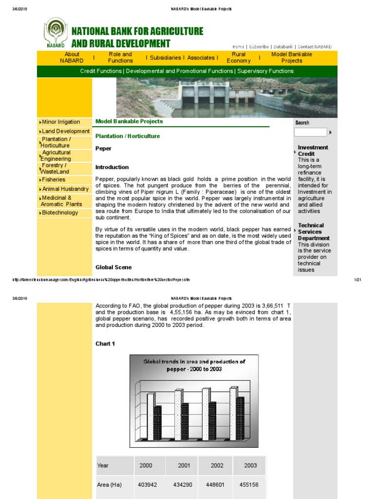 NABARD's Model Bankable Projects | PDF | Soil | Loans