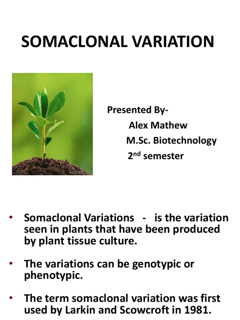 Somaclonal Variation: Presented By-Alex Mathew M.Sc. Biotechnology 2 ...