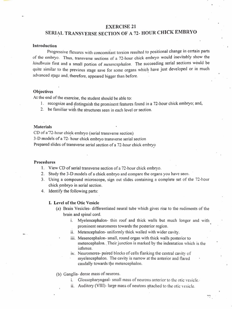 Exercise 21 Serial Transverse Section of A 72 Hour Chick Embryo PDF ...