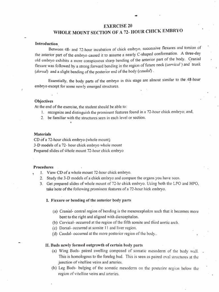 Exercise 20 Whole Mount Section of A 72 Hour Chick Embryo PDF | PDF ...