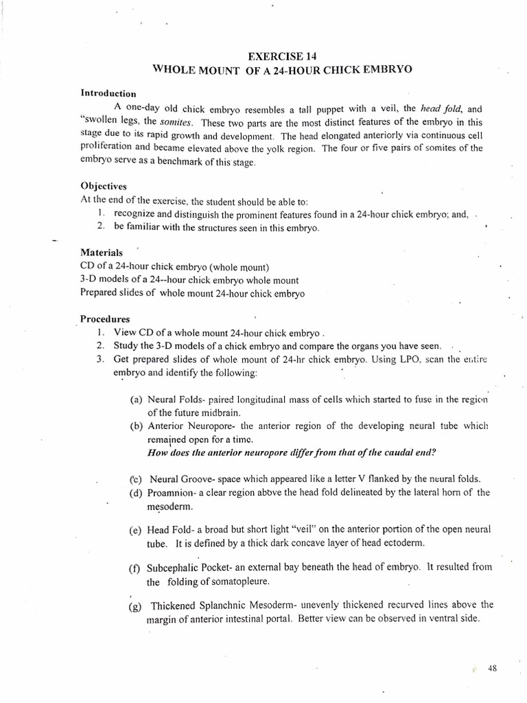 Exercise 14 Whole Mount of A 24 Hour Chick Embryo PDF | PDF ...