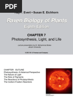 Theodor Engelmann - S Experiment | PDF | Photosynthesis | Chlorophyll