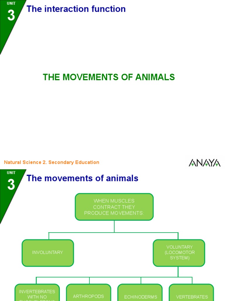 The Movements of Animals: Natural Science 2. Secondary Education ...
