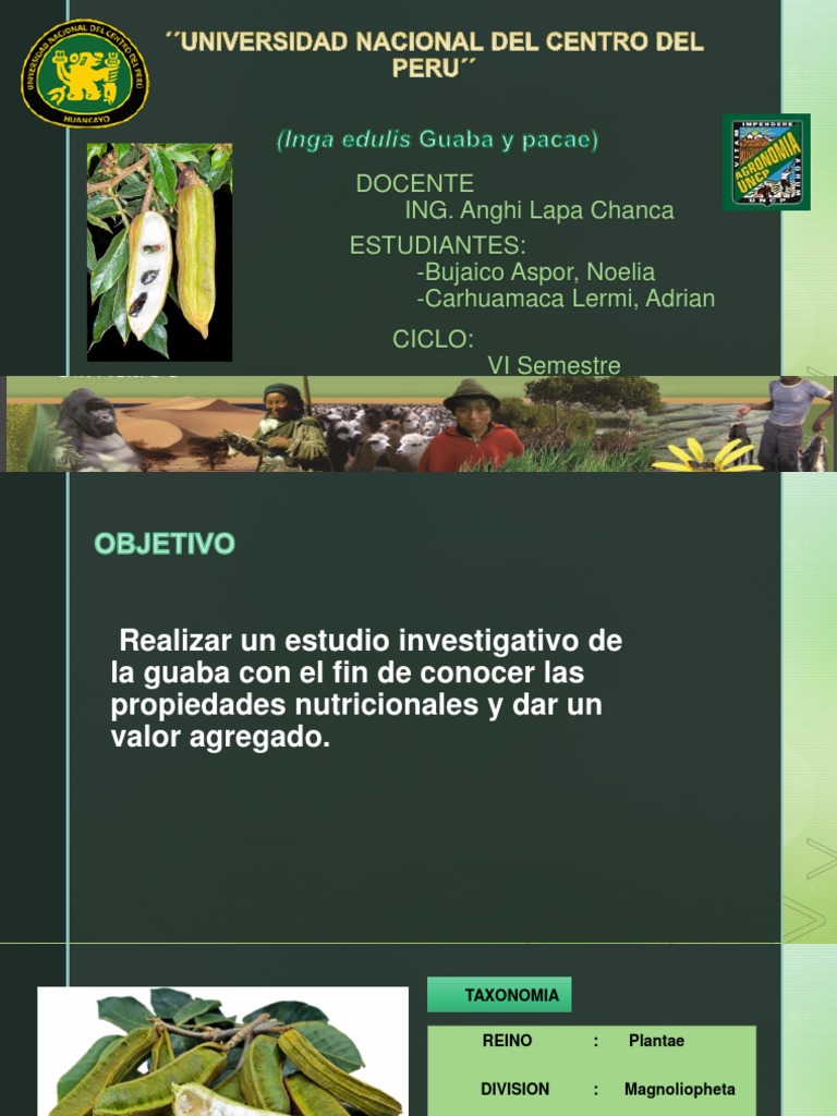 Estudio sobre el Pacay: Taxonomía y Beneficios | PDF | Salud y ...