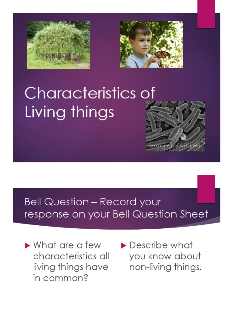 Characteristics of Living Things Lecture Notes | PDF | Reproduction | Life