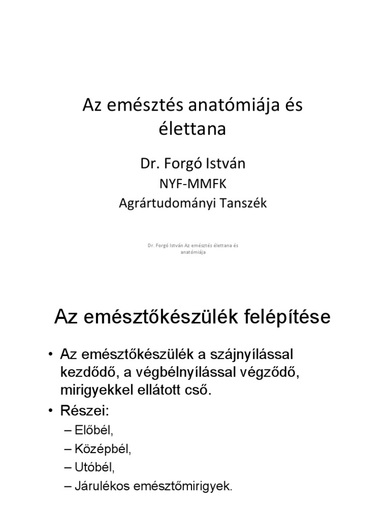Az Emesztes Anatomiaja Es Elettana | PDF