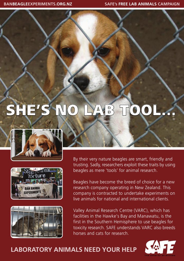 SAFE Leaflet: Free Lab Animals: 'She's No Lab Tool... ' | PDF | Animal ...