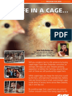 Egg Layer Proposal | PDF | Livestock | Poultry