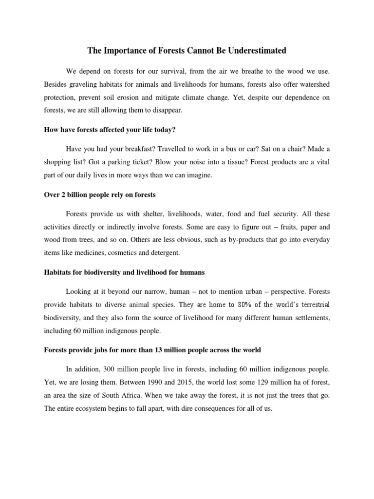 English Project Group 4 | PDF | Forests | Biodiversity