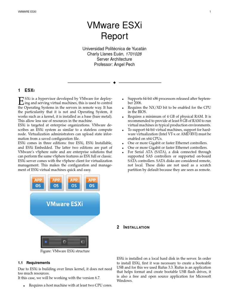 Vmware Esxi Report | PDF | Booting | V Mware