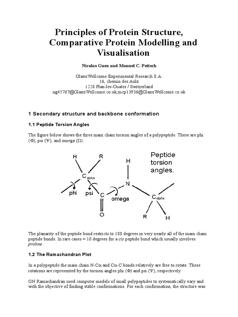 Principles of Protein Structure | PDF | Beta Sheet | Alpha Helix