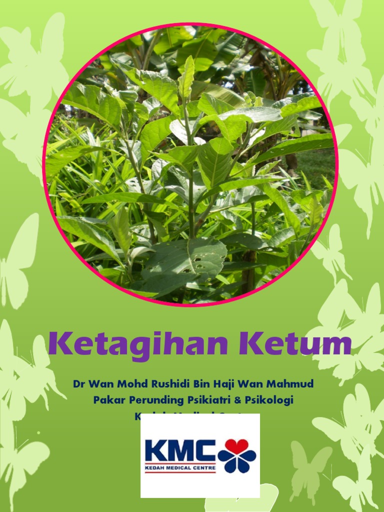 Ketagihan Ketum: DR Wan Mohd Rushidi Bin Haji Wan Mahmud Pakar ...