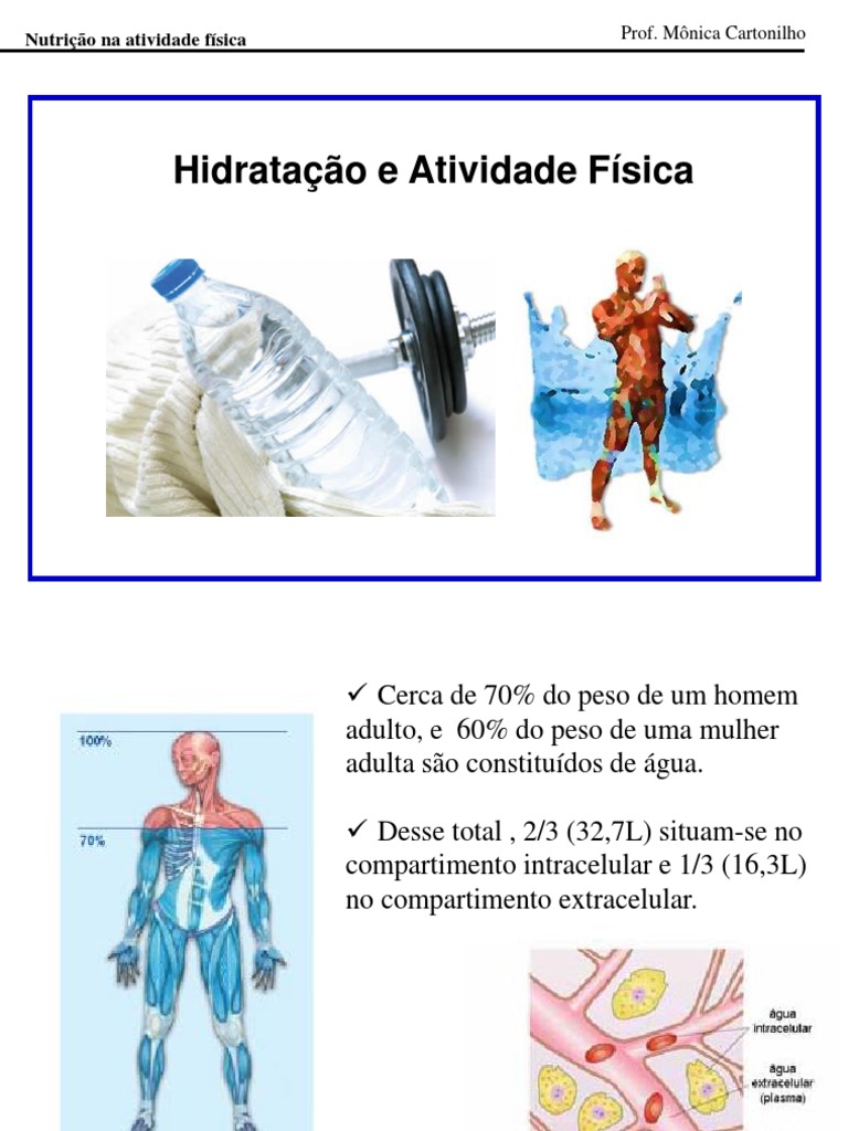Hidratação E Atividade Física Fisiologia órgão Anatomia