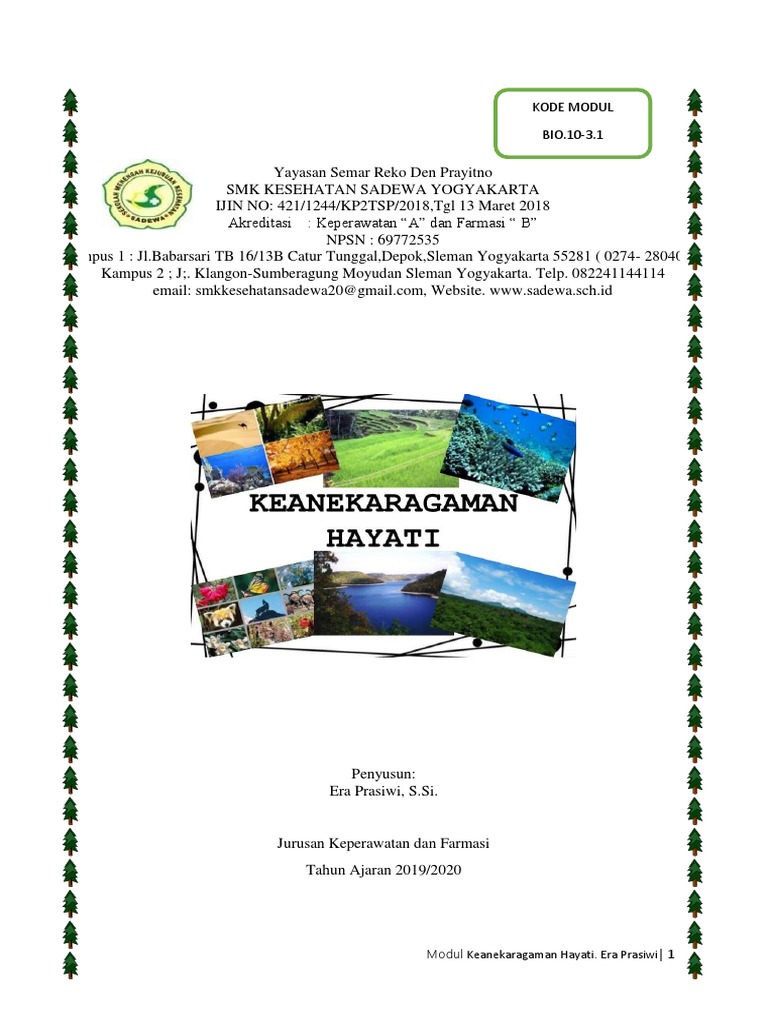 Modul BIO X-3.1 | PDF