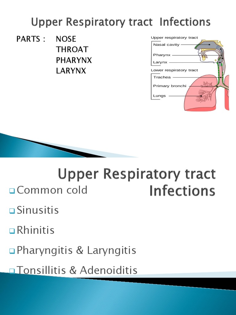 Upper+airway+infection+ 1 | PDF | Common Cold | Human Nose