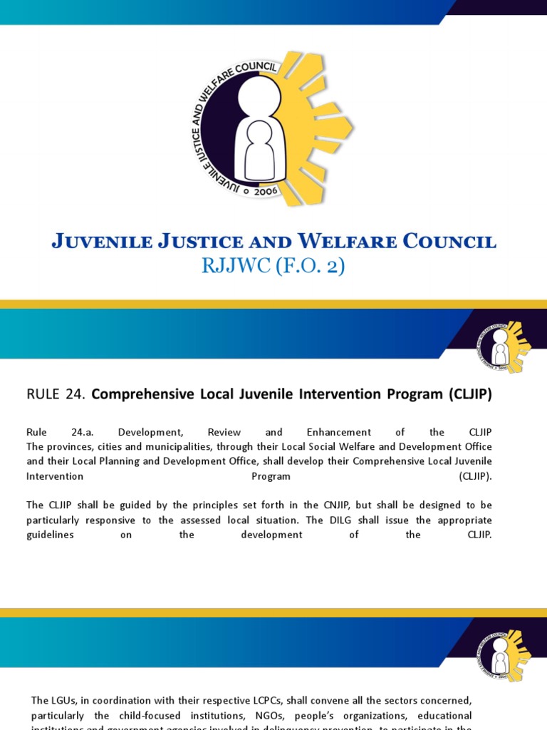 Comprehensive Local Juvenile Intervention Plan | PDF | Health Care | Family