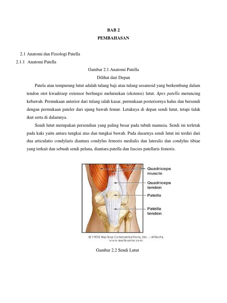 Refleks Patella pada Ibu Hamil | PDF