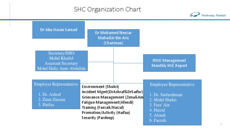 SHC Organization Chart | PDF