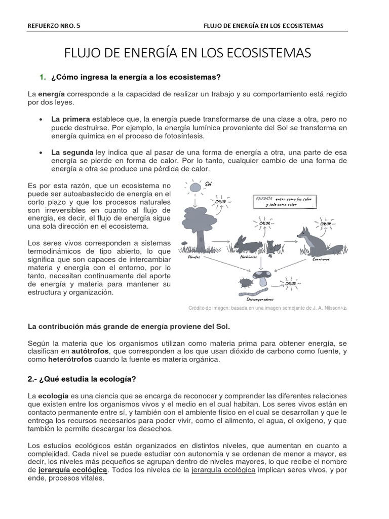 Refuerzo Nro 5 - Flujo de Energía en Los Ecosistemas - Info | PDF ...