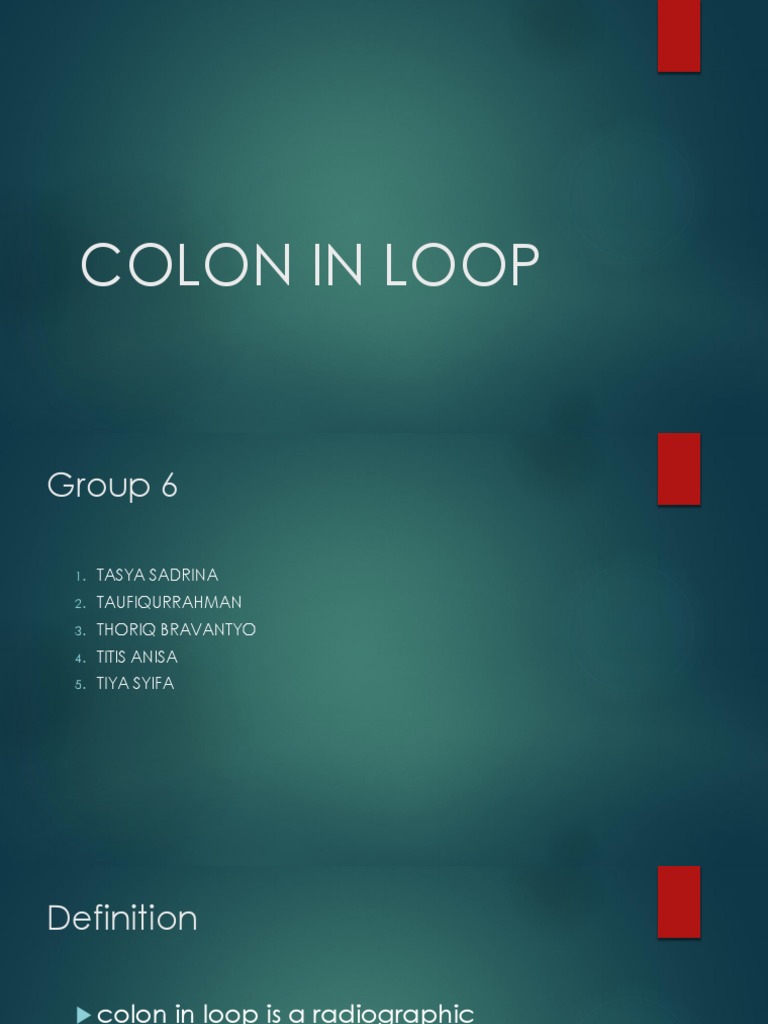 Colon in Loop English Version | PDF | Large Intestine | Anatomical ...