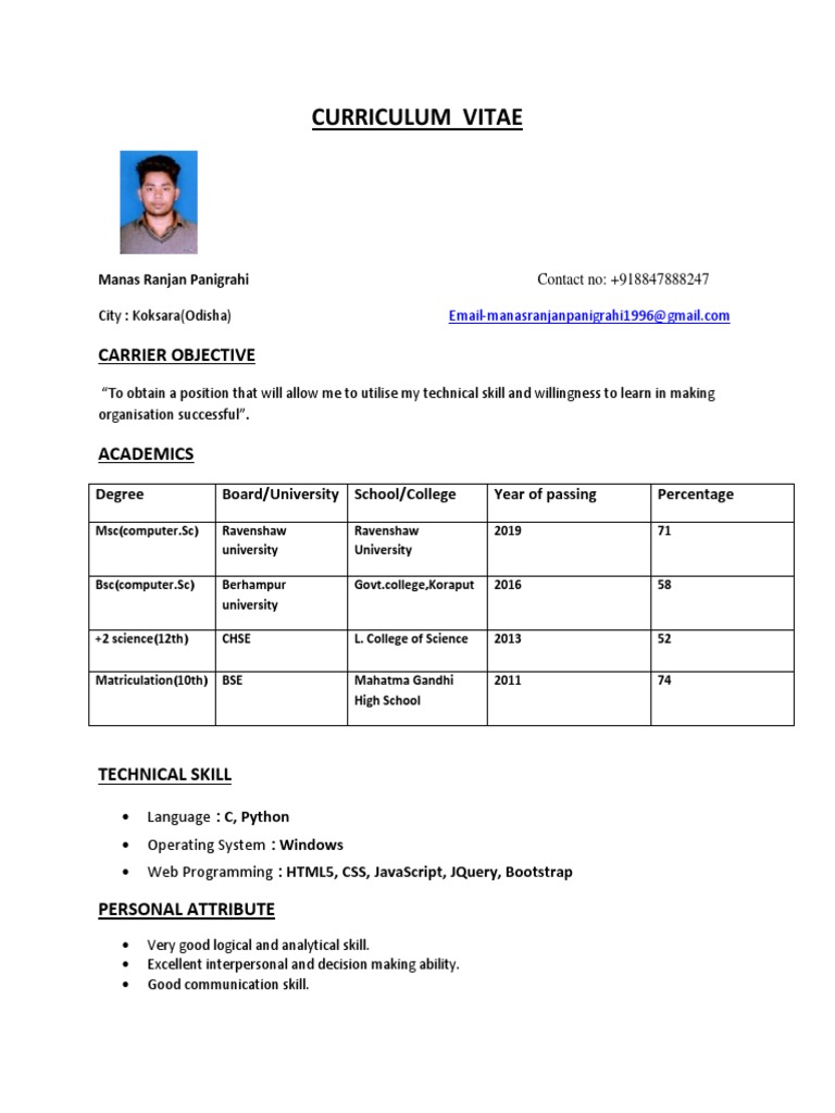 Curriculum Vitae: Carrier Objective | PDF | Behavior Modification ...