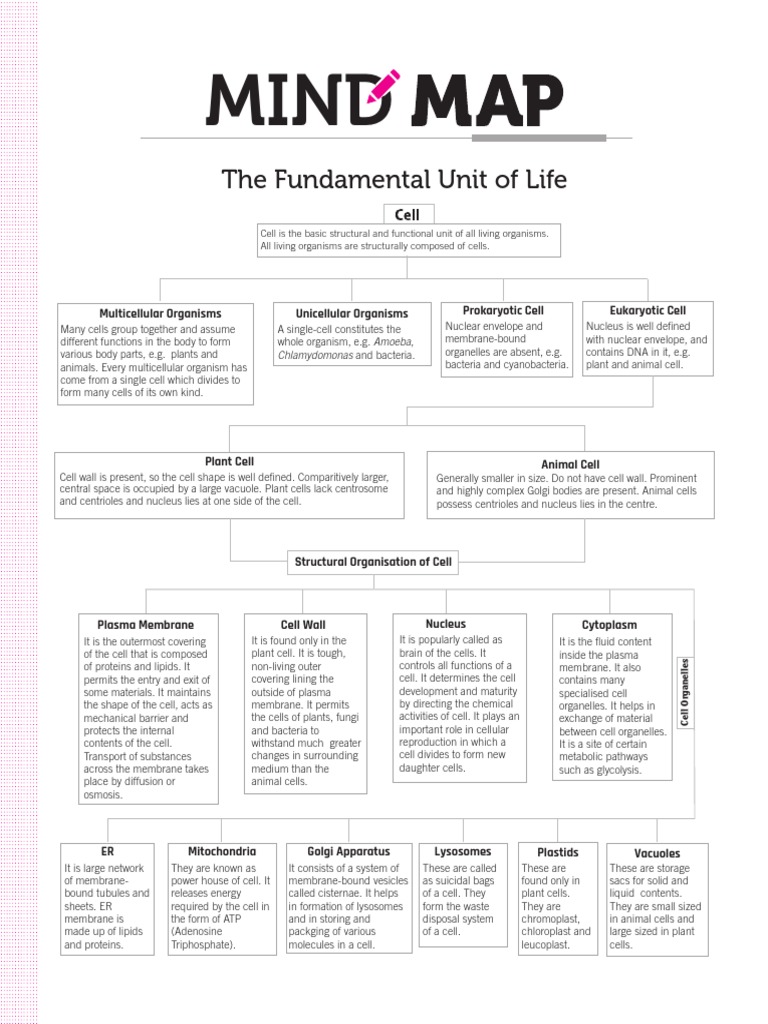 Mind Map | PDF | Cell (Biology) | Cell Membrane
