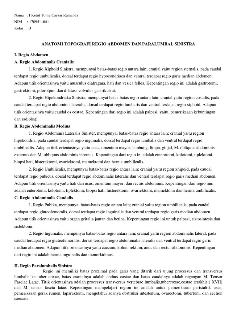 Abdomen Dan Paralumbal Sinistra | PDF