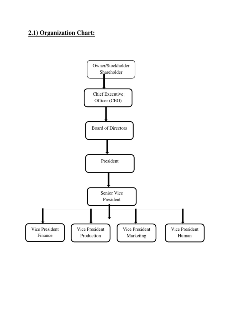 2.1) Organization Chart:: Owner/Stockholder Shareholder | PDF