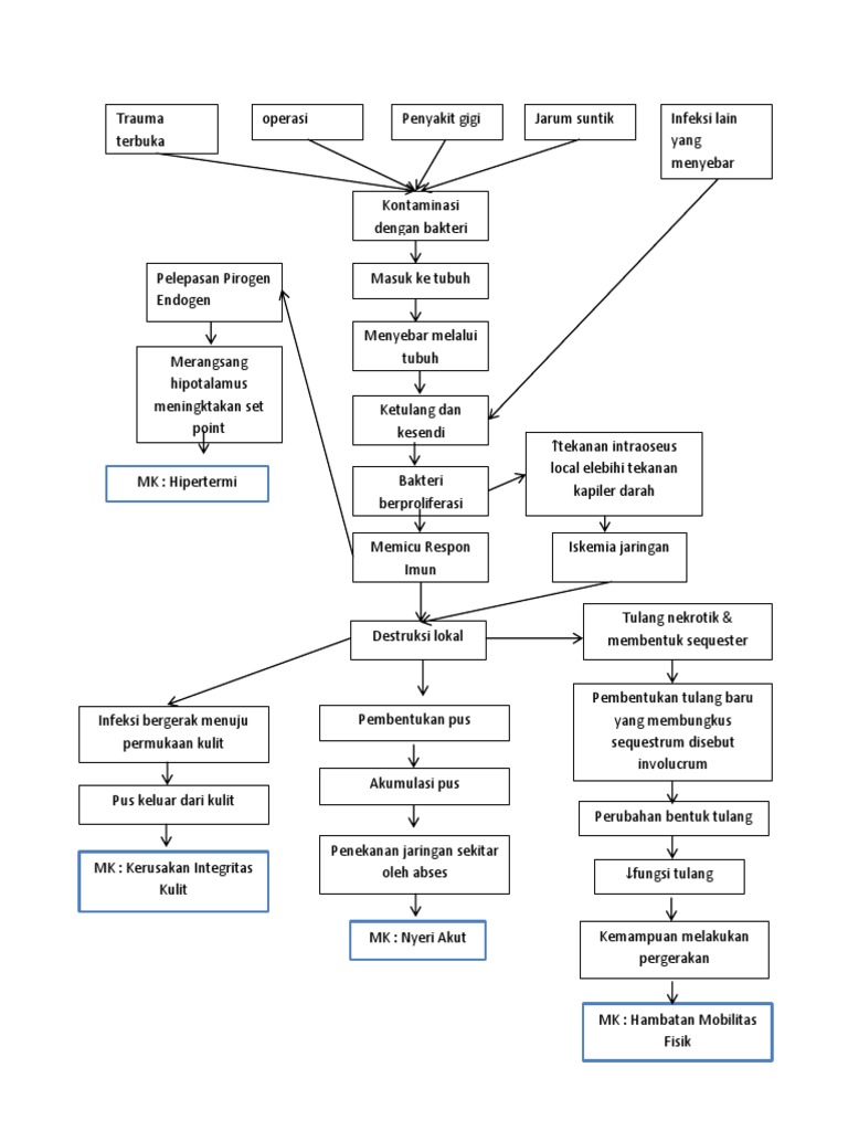 Infeksi Tulang Akibat Kontaminasi Bakteri | PDF