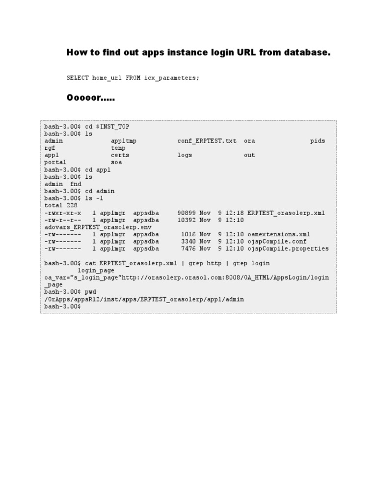 How To Find Out Apps Instance Login URL From Database | PDF