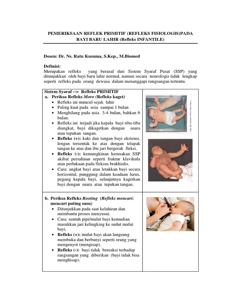 1d. Pemsik Refleks Primitif Bbl-1 | PDF