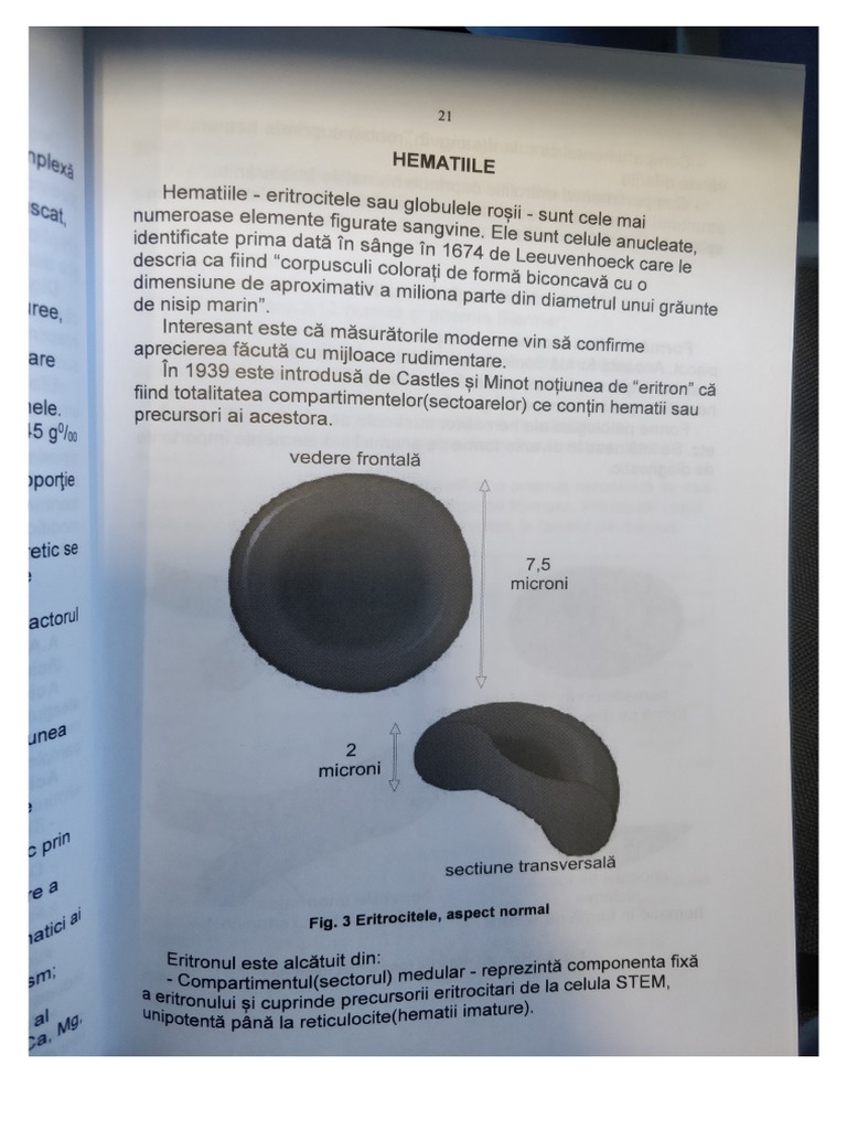 Hematiile Fiziologie 2 | PDF