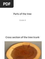 Landscape Specs. | PDF | Specification (Technical Standard) | Trees