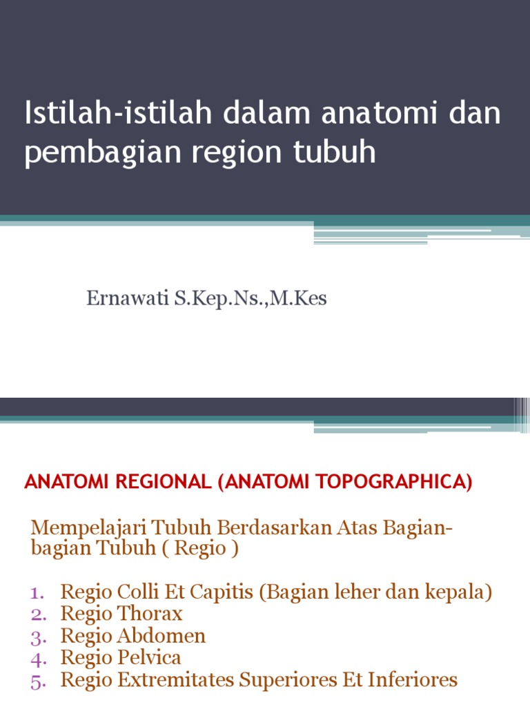 Istilah dan Pembagian Regio Tubuh | PDF