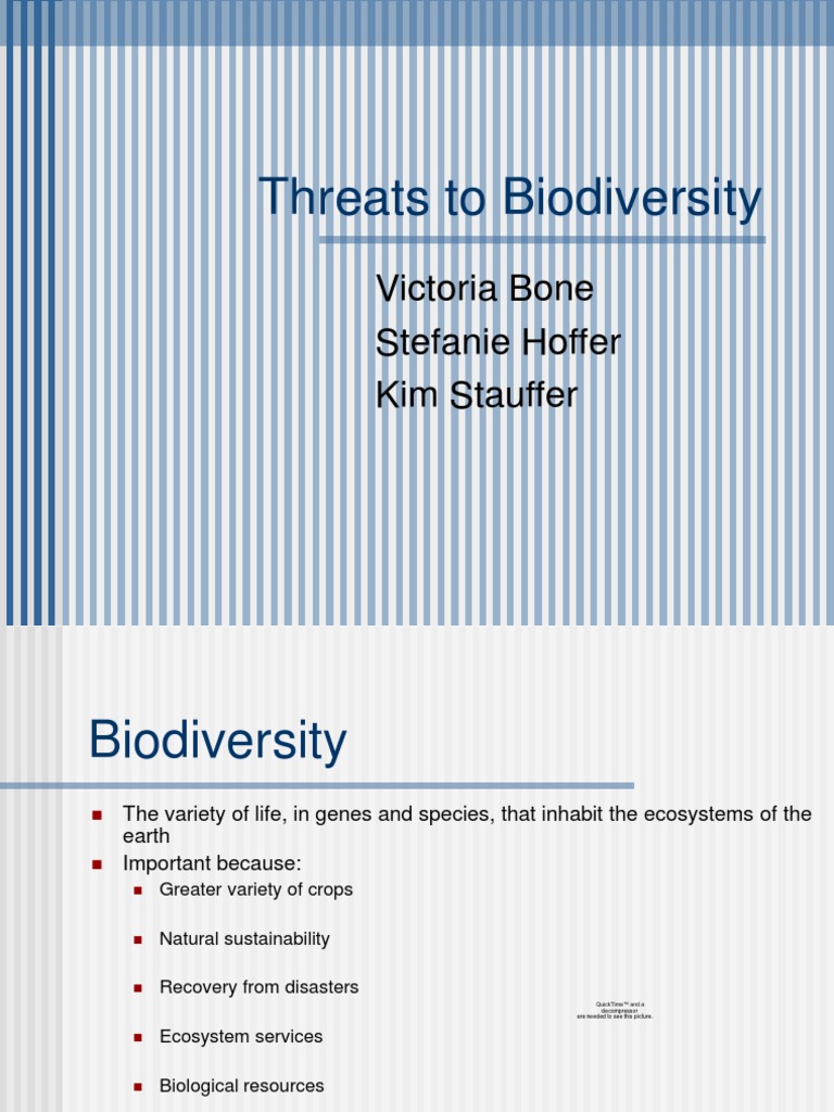 Threats To Biodiversity: Victoria Bone Stefanie Hoffer Kim Stauffer ...