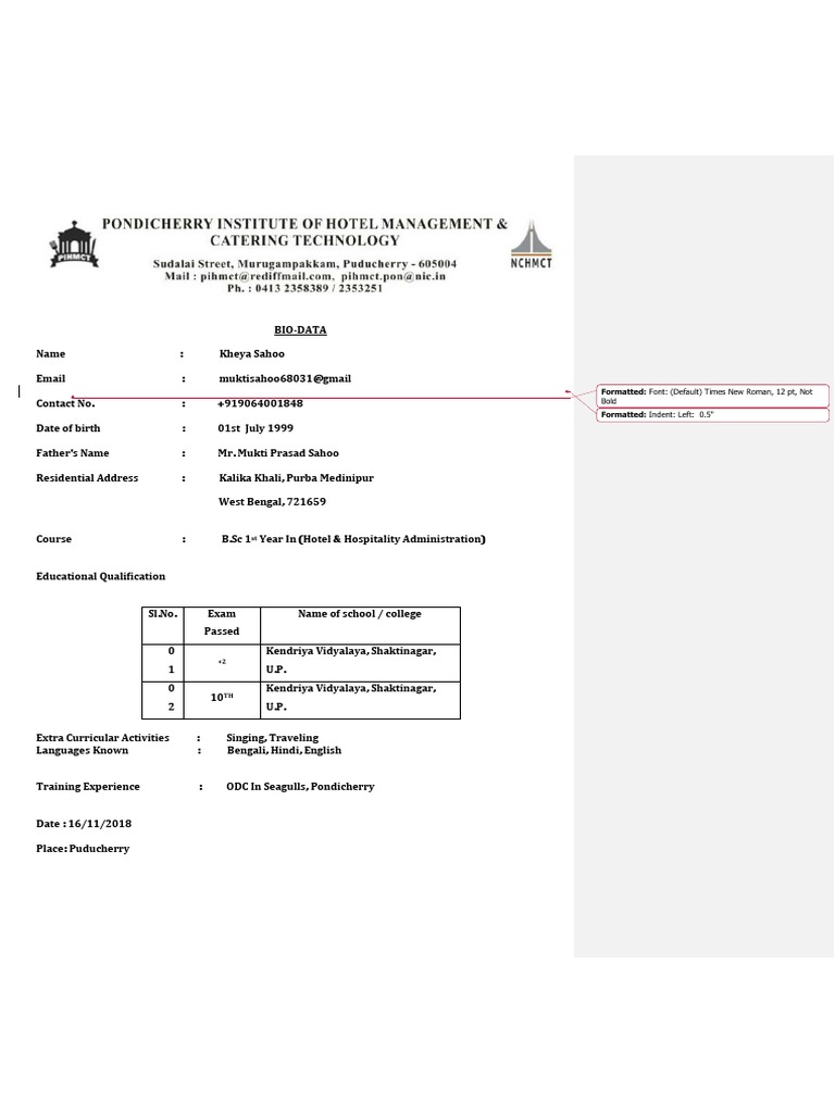 Formatted: Font: (Default) Times New Roman, 12 PT, Not Formatted ...