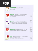 Teyvat's Flower Language | PDF