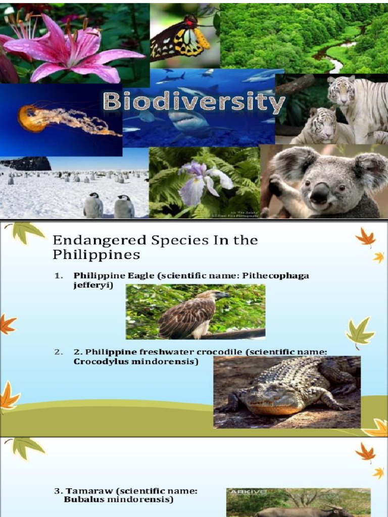 Biodiversity For Grade 6 | PDF | Habitat Destruction | Trawling