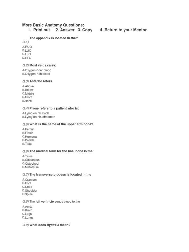 Basic Anatomy Questions | PDF | Skin | Anatomy