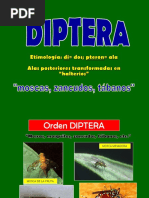 Anatomía y Morfología del Grillo | PDF | Insectos | Artrópodos