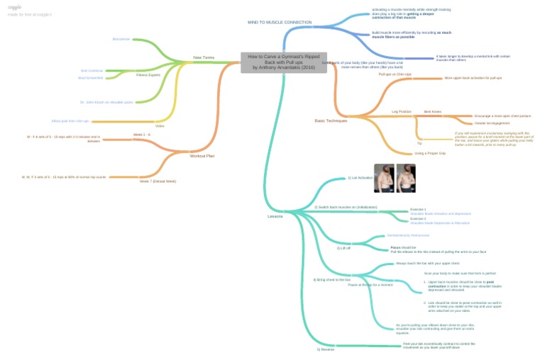 How To Carve A Gymnasts Ripped Back With Pull Ups by Anthony ...