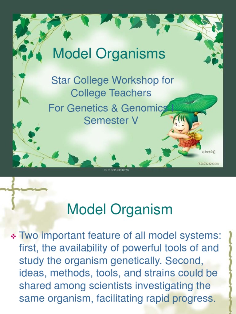 Model Organisms | PDF | Bacteriophage | Plasmid