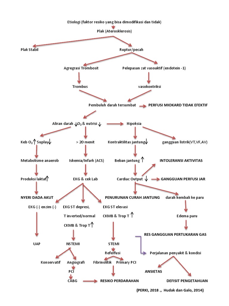 Patoflow ACS | PDF