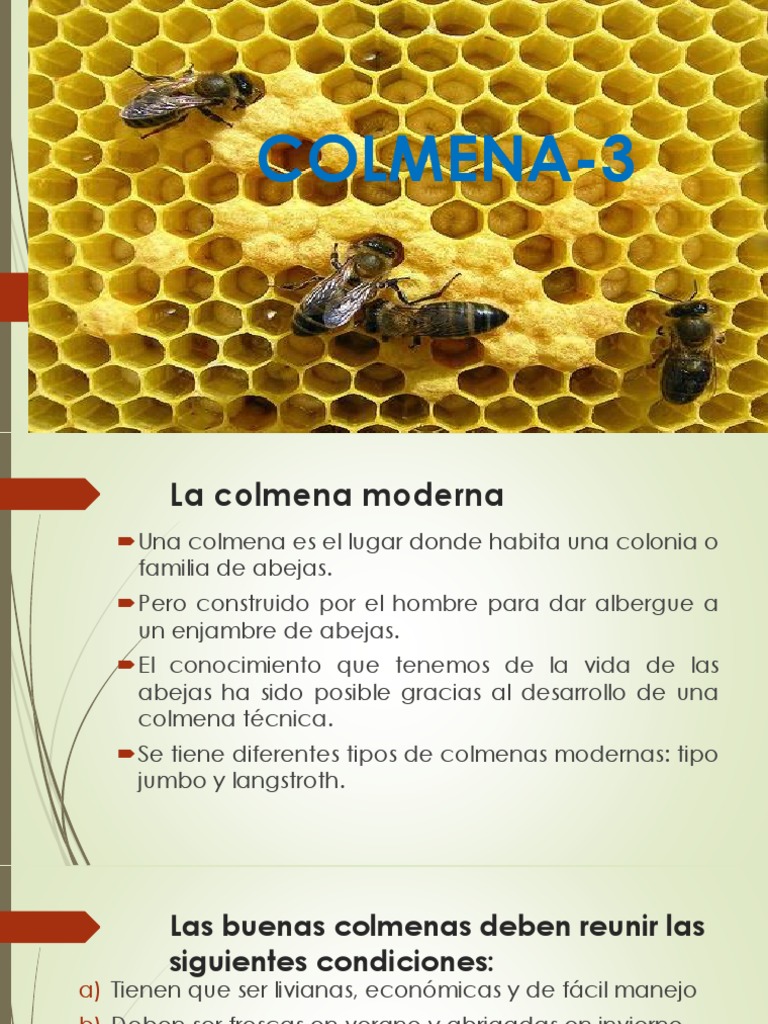 Clase 3. Colmena | PDF | Apicultura | Colmena