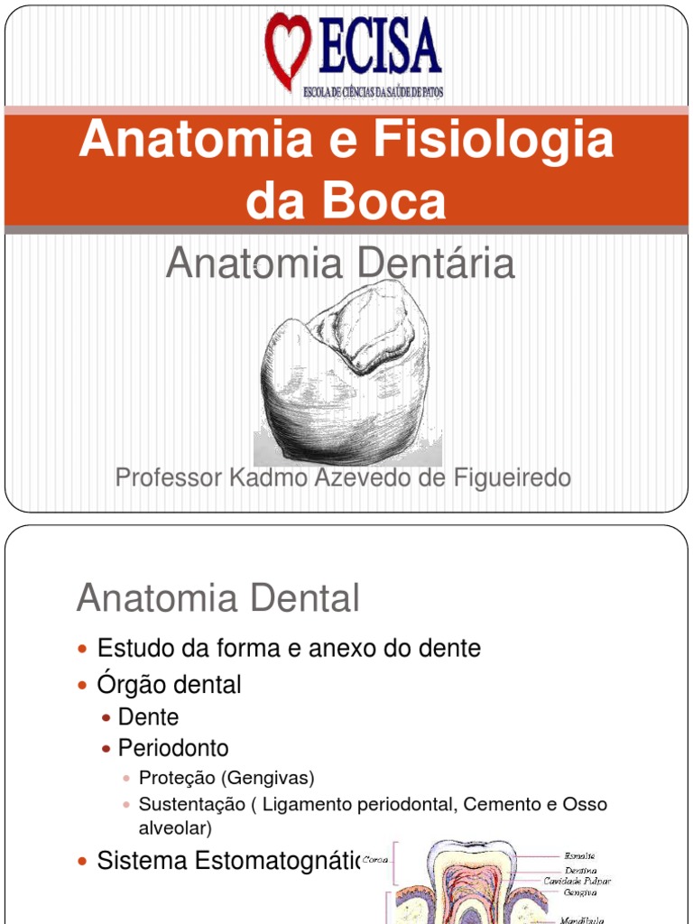 Anatomia e Fisiologia Da Boca | PDF | Dente | Anatomia Dentária
